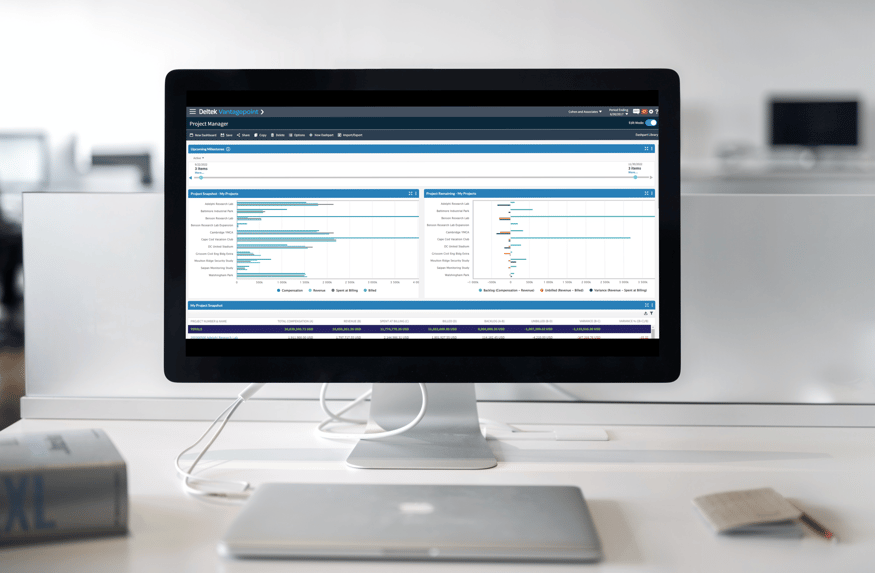 The Differences Between Deltek Vision and Vantagepoint CRM