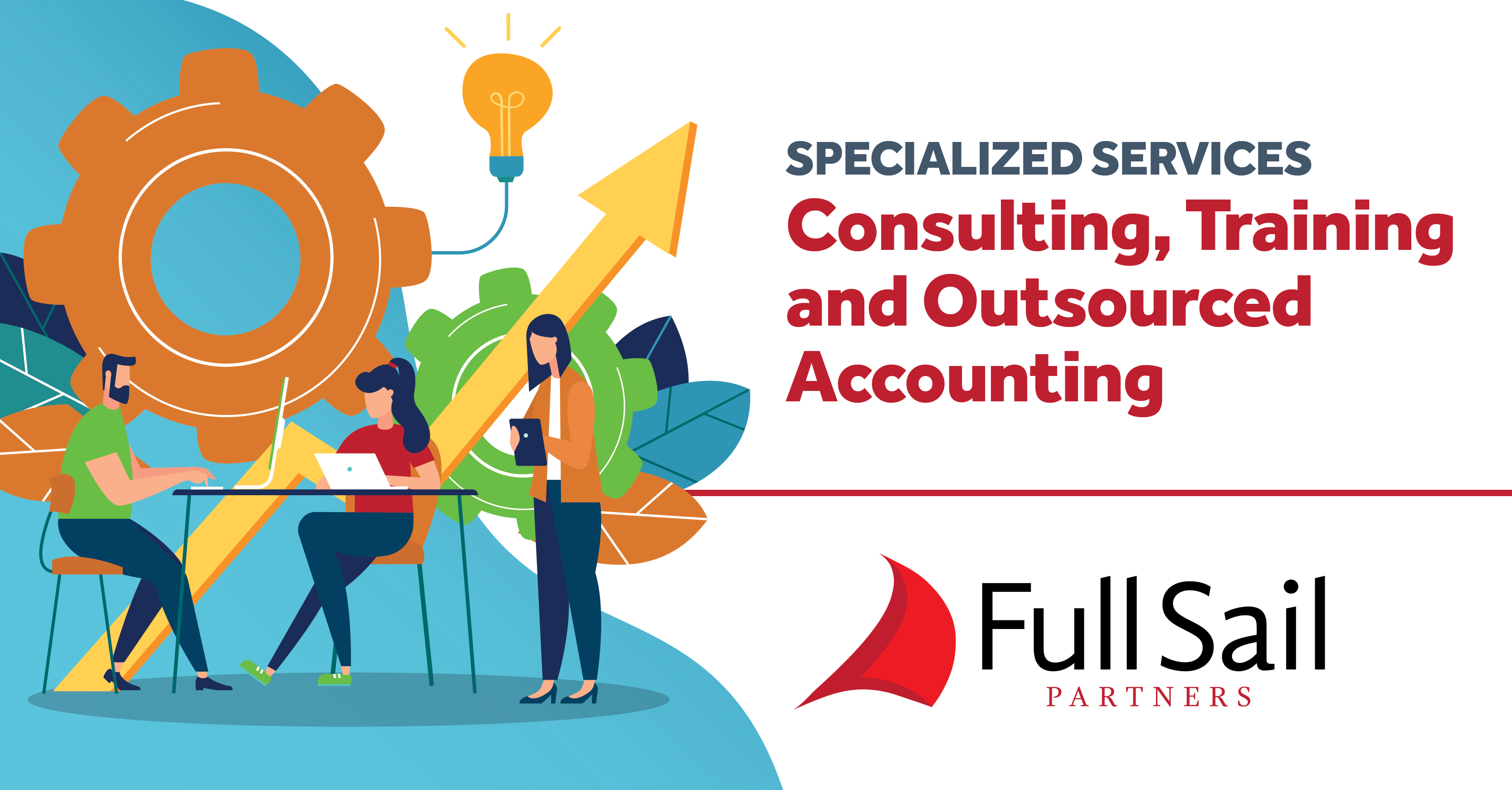 Specialized Services: Consulting, Training, and Outsourced Accounting