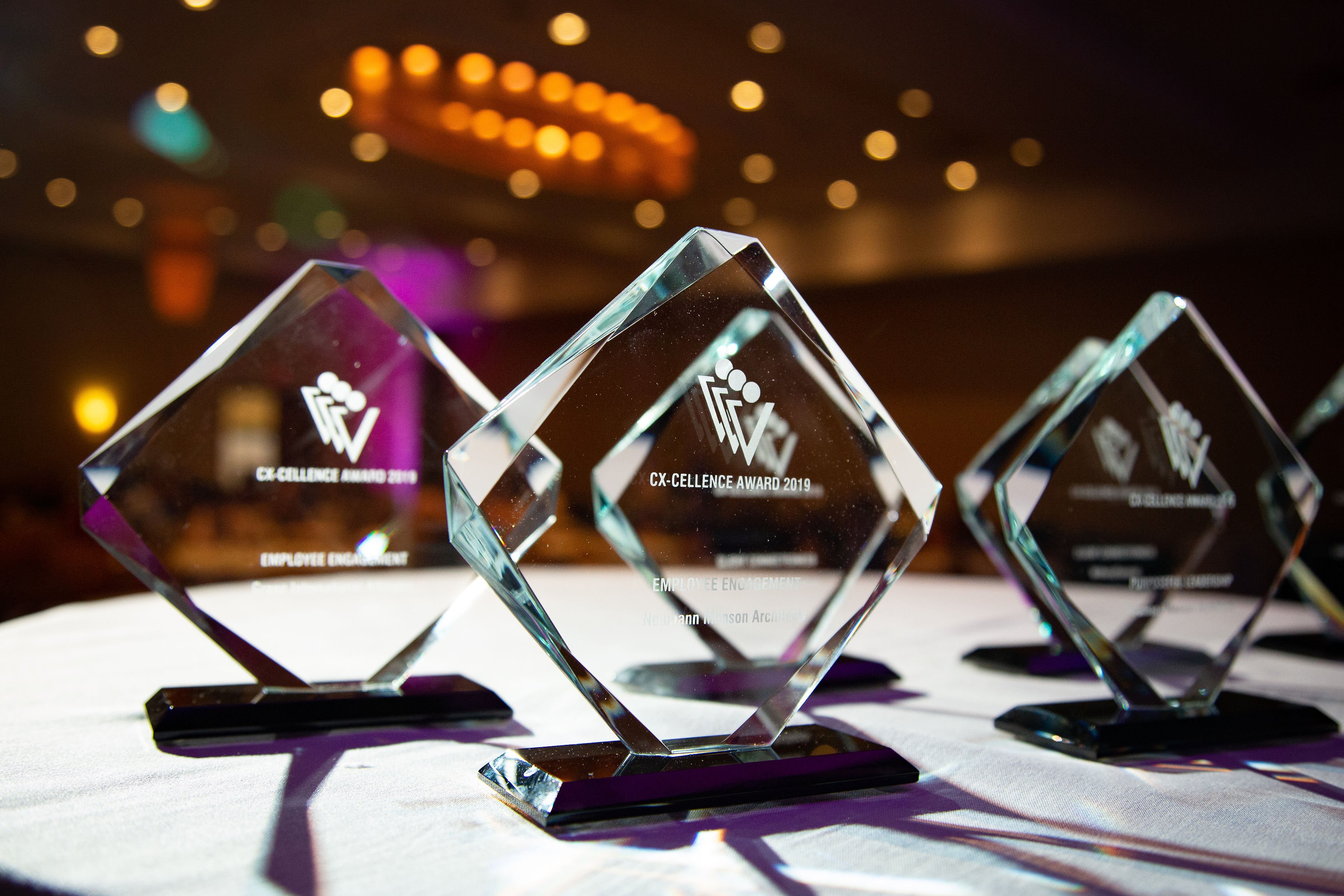 Full Sail Partners is Excited to Win a 2019 Premier Award for Client ...